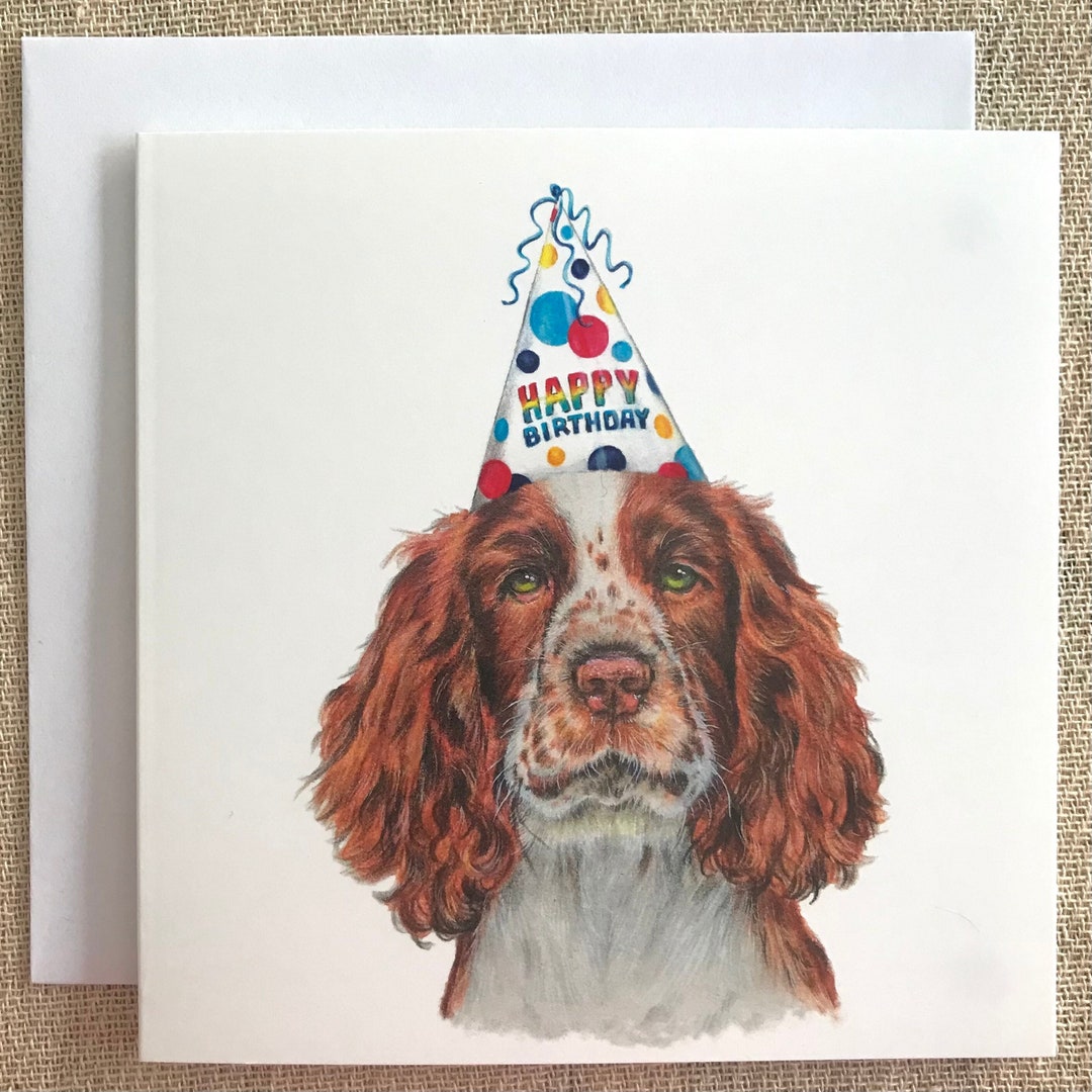 Spaniel Birthday Card - Etsy