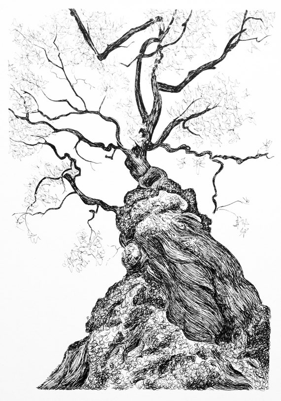 Digital Download Ancient Olive Tree Black Ink Drawing Modern - Etsy
