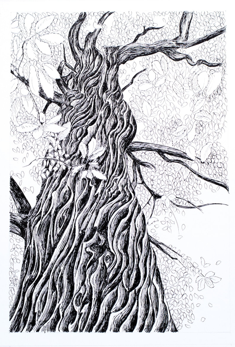 Digital Download Twisted Sweet Chestnut Tree Black Ink Drawing - Bold ...