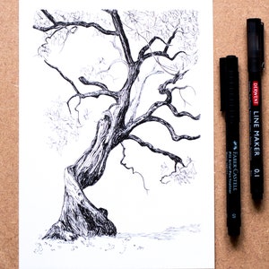 Digital Download Twisted Olive Tree Black Ink Drawing - Modern ...