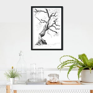 Digital Download Twisted Olive Tree Black Ink Drawing - Modern ...