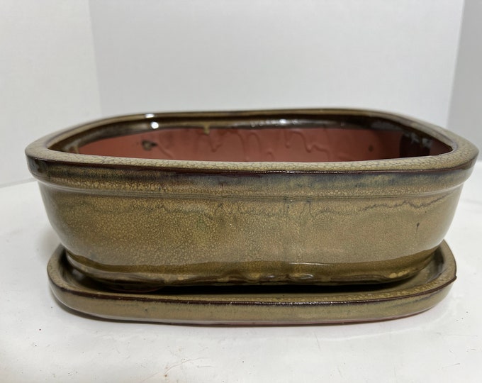 10 Bonsai Pot,bonsai,bonsai Planter,bonsai Pot With Tray,bonsai Pot ...