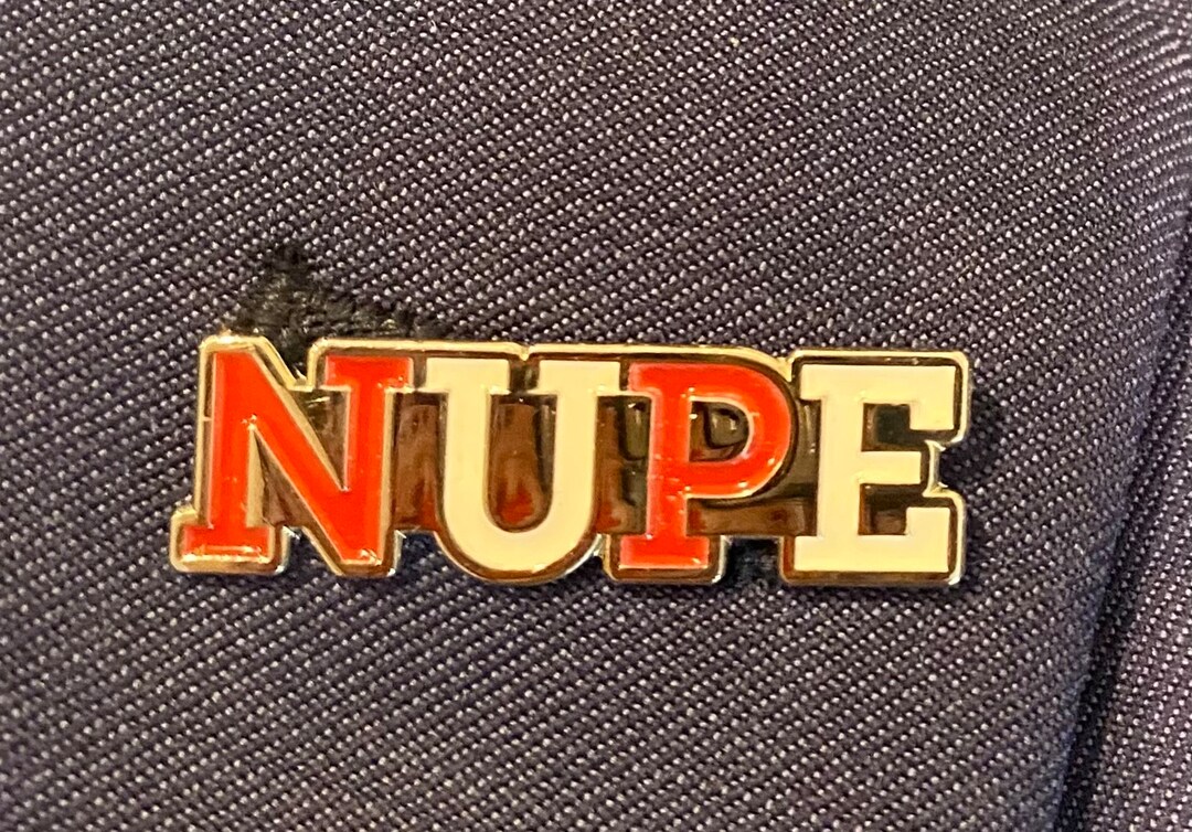 Nupe NUPE Lapel Pin - Etsy