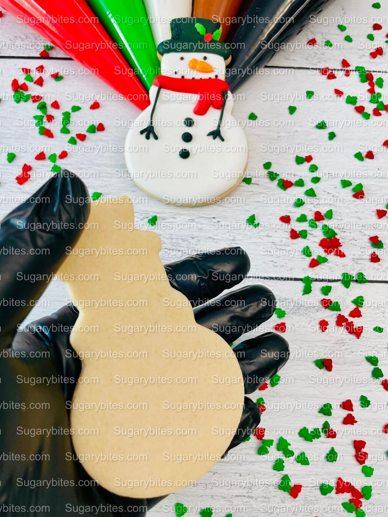 Christmas Cookie Decorating Kit, Christmas DIY Cookie Kit, (large ...