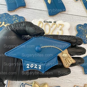 Graduation Cookies, Graduation Party, (large Cookies), Includes 12 ...
