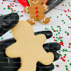 Christmas Cookie Decorating Kit, Christmas DIY Cookie Kit, (large ...