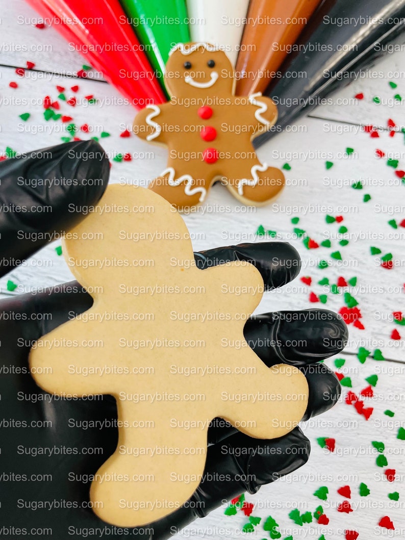 Christmas Cookie Decorating Kit, Christmas DIY Cookie Kit, (large ...