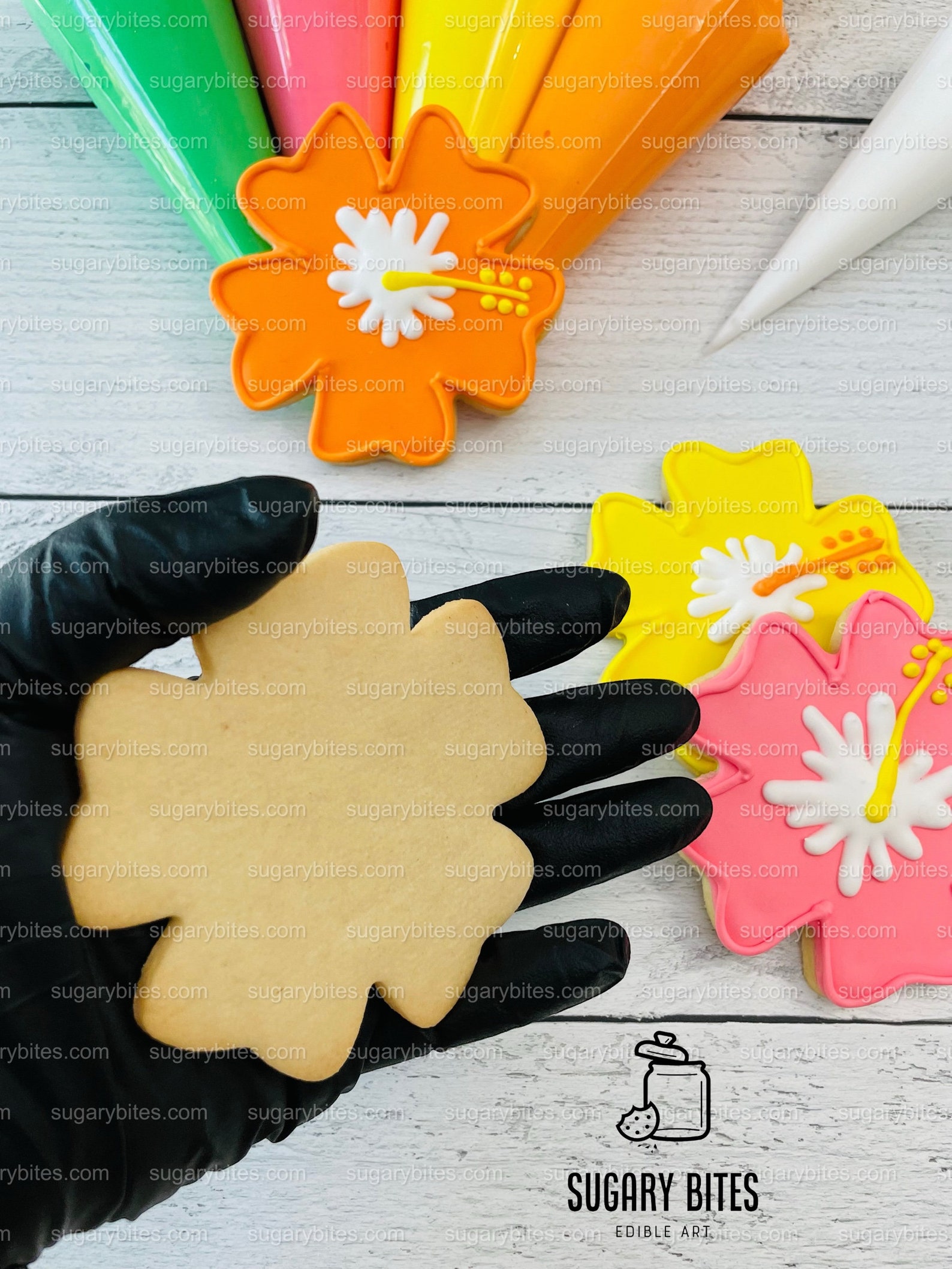 Summer Cookie Decorating Kit, ***INCLUDES 25 ITEMS***** Zoom Party ...