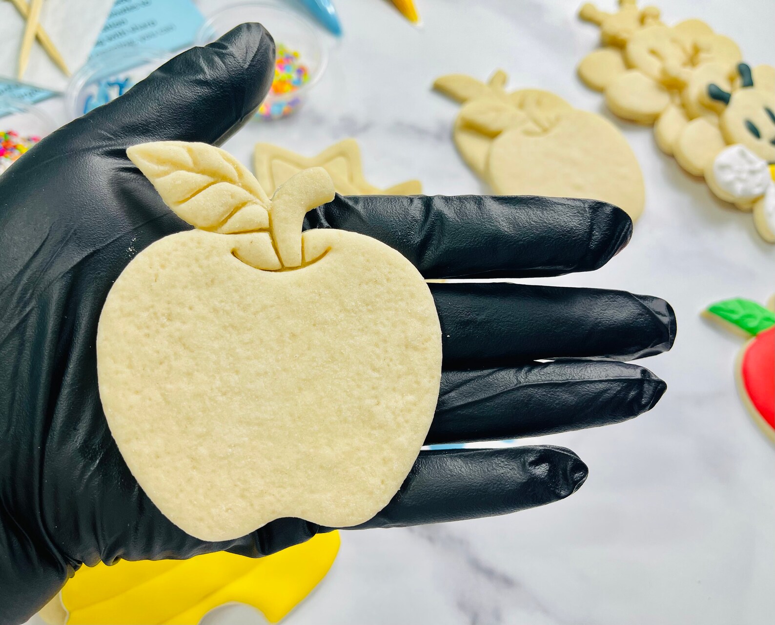 Rosh Hashanah Cookie Decorating Kit large Cookies - Etsy