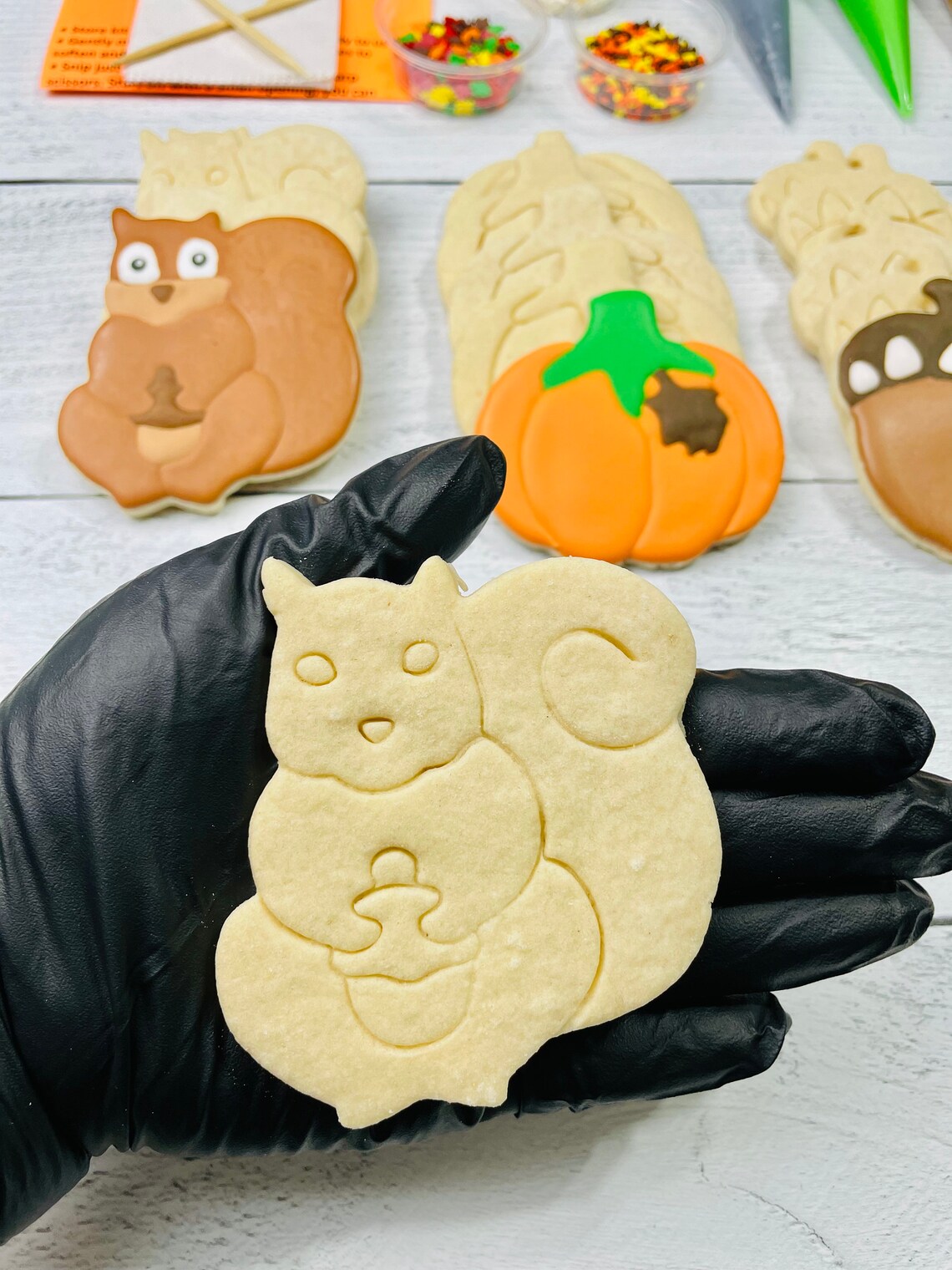 Fall Cookie Decorating Kit Fall DIY Cookie Kit INCLUDES - Etsy