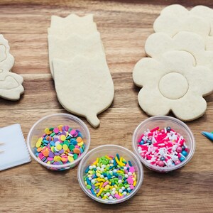 Spring Cookie Decorating Kit, **INCLUDES 24 ITEMS** Flower Butterfly ...
