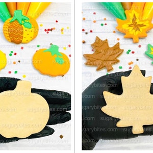 Fall Cookie Decorating Kit, INCLUDES 24 ITEMS Zoom Party Favors ...