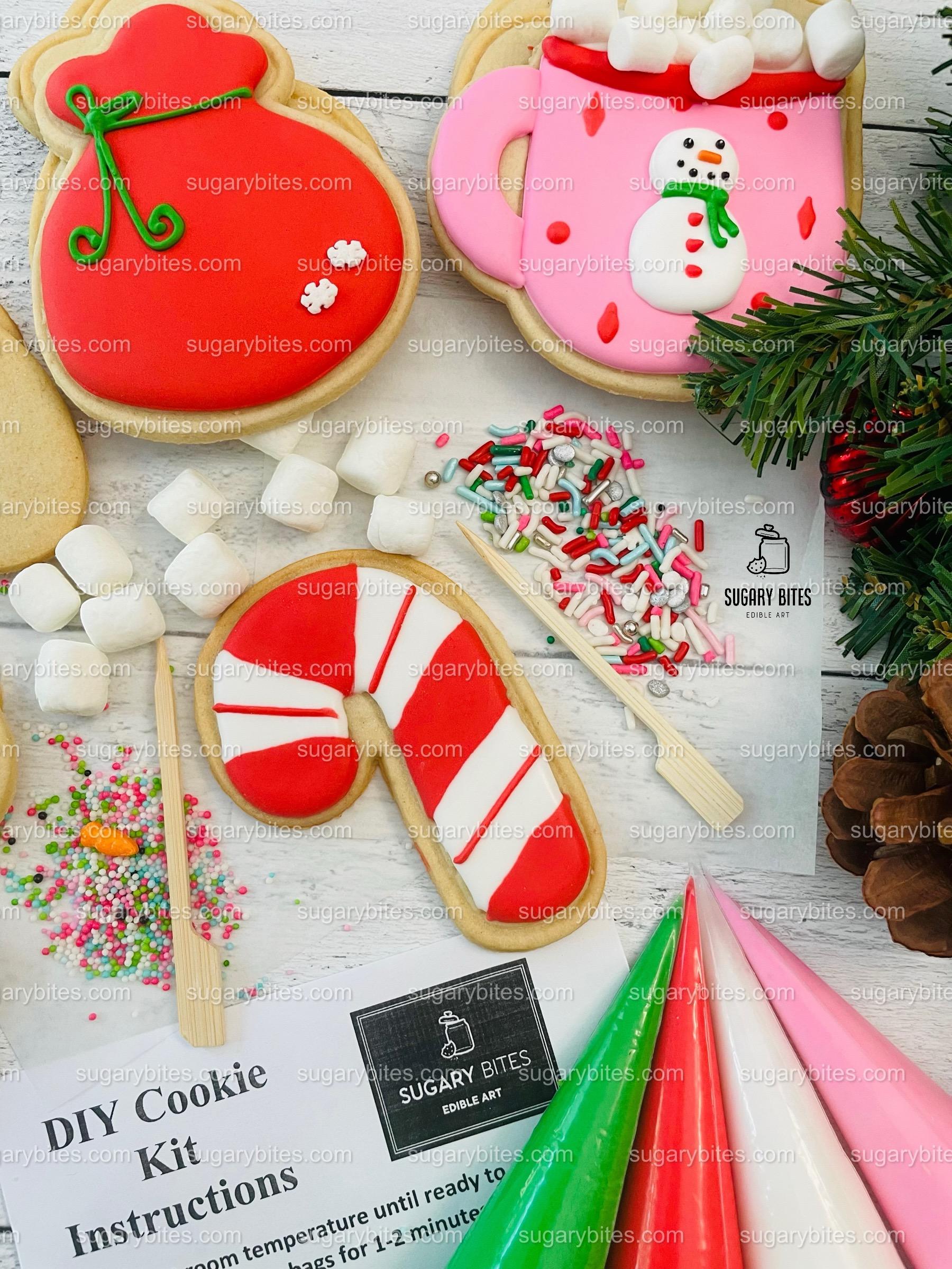 Winter Cookie Decorating Kit, Christmas DIY Cookie Kit, (large Cookies ...
