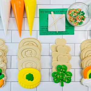 St Patricks Day Cookie Decorating Kit St. Patricks Day DIY | Etsy