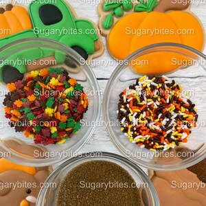 Fall Cookie Decorating Kit, Thanksgiving DIY Cookie Kit, (large Cookies ...
