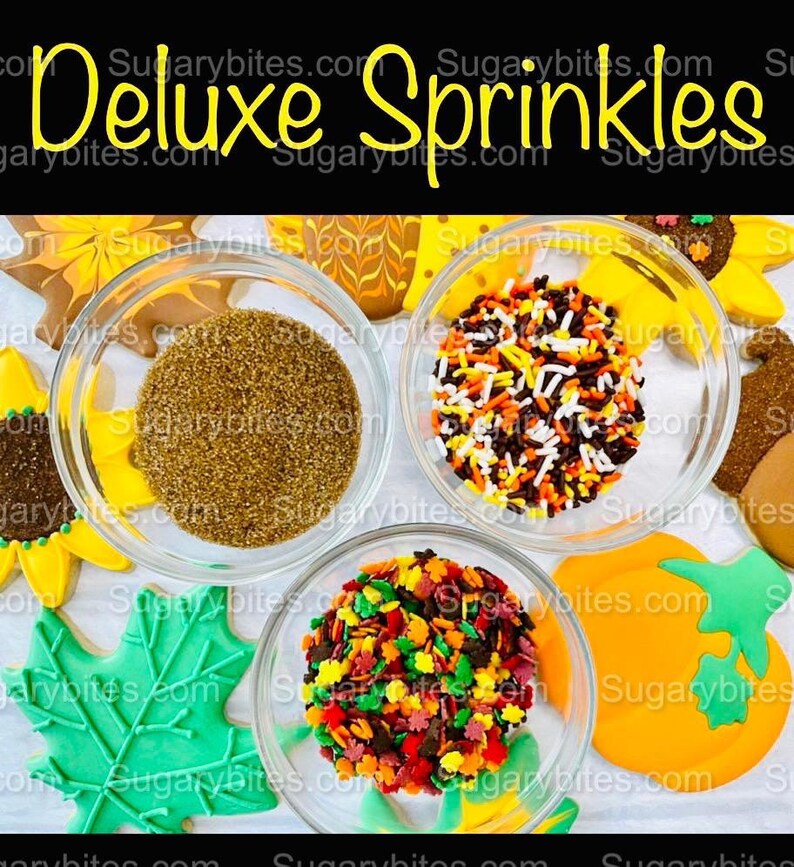 Fall Cookie Decorating Kit INCLUDES 24 ITEMS Zoom Party - Etsy