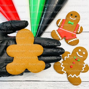 Gingerbread Cookie Decorating Kit, Christmas DIY Cookie Kit, (large ...