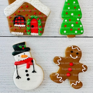 Christmas Cookie Decorating Kit, Christmas DIY Cookie Kit, (large ...