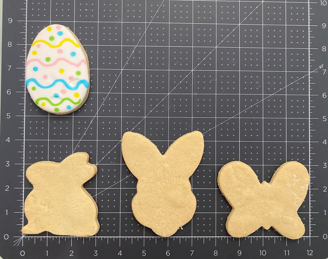 Spring Cookie Decorating Kit, Spring DIY Cookie Kit ***INCLUDES 25 ...