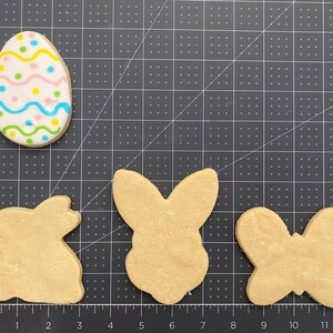 Spring Cookie Decorating Kit, Spring DIY Cookie Kit ***INCLUDES 25 ...