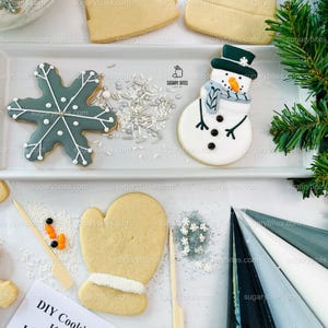 Winter Cookie Decorating Kit, Winter DIY Cookie Kit, (large Cookies ...