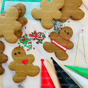 Gingerbread Cookie Decorating Kit, Christmas DIY Cookie Kit, (large ...