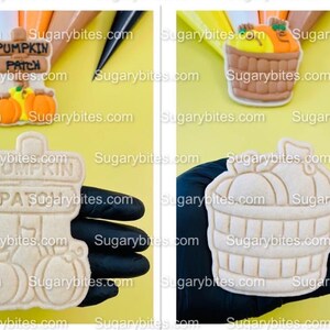 Fall Cookie Decorating Kit, Fall DIY Decorating Cookies Kit, (large ...