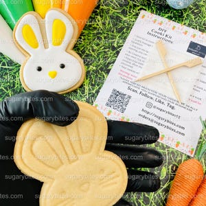 Easter Cookie Decorating Kit, DIY Spring Sugar Cookie Decorating Kit ...