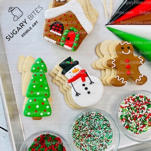 Christmas Cookie Decorating Kit, Christmas DIY Cookie Kit, (large ...