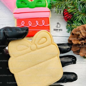 Winter Cookie Decorating Kit, Christmas DIY Cookie Kit, (large Cookies ...