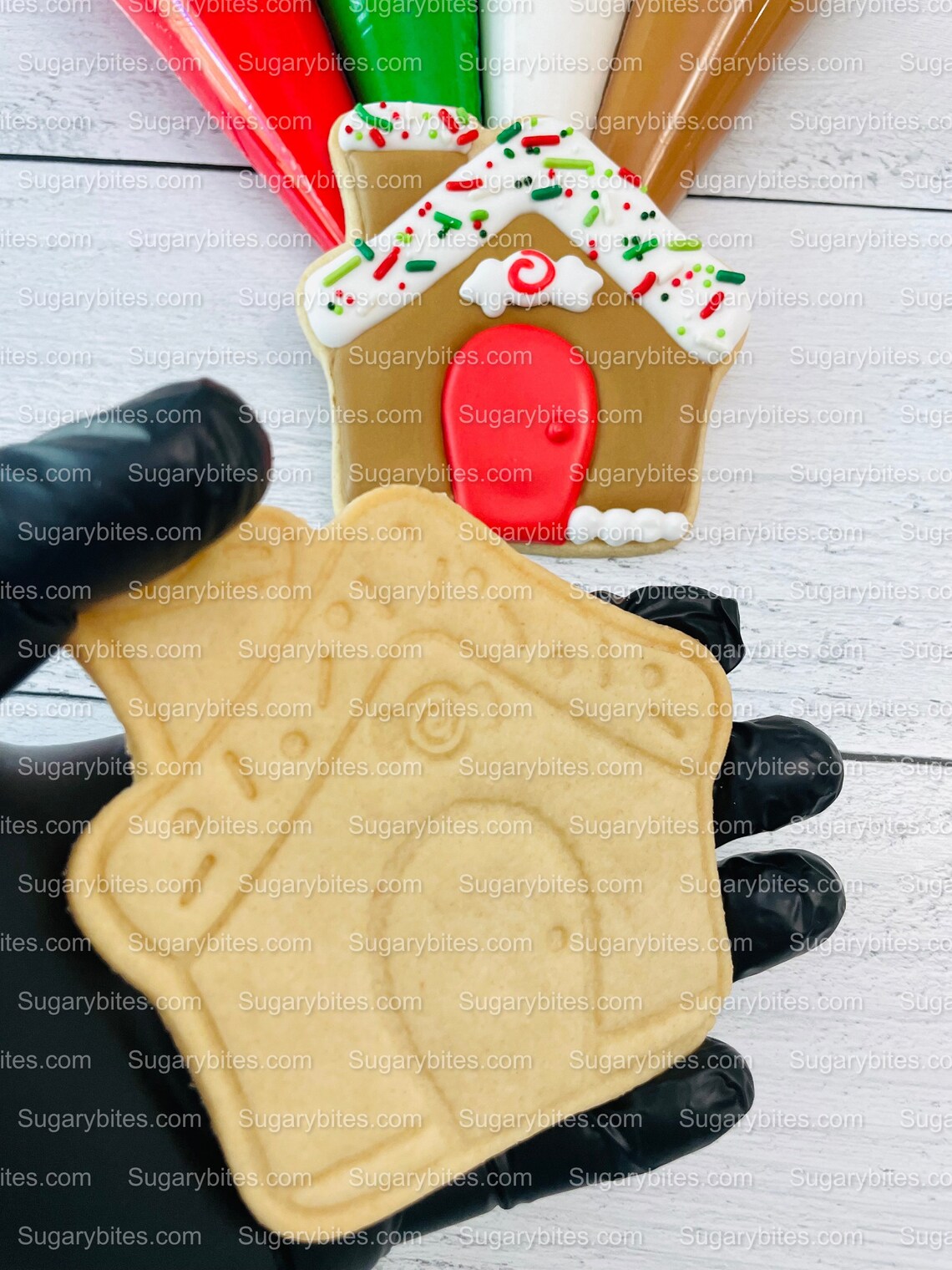 Christmas Cookie Decorating Kit, Christmas DIY Cookie Kit, (large ...