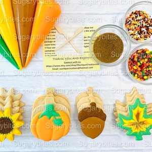 Fall Cookie Decorating Kit, INCLUDES 24 ITEMS Zoom Party Favors ...