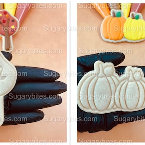 Fall Cookie Decorating Kit, Thanksgiving DIY Activity - Etsy