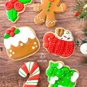 Christmas Cookie Decorating Kit, Christmas DIY Cookie Kit, (large ...