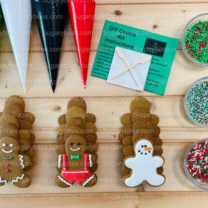 Gingerbread Cookie Decorating Kit, Christmas DIY Cookie Kit, (large ...