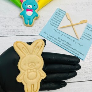 Spring Cookie Decorating Kit, DIY Cookie Kit, **INCLUDES 25 ITEMS ...