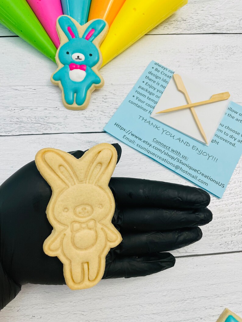 Spring Cookie Decorating Kit, DIY Cookie Kit, **INCLUDES 25 ITEMS ...