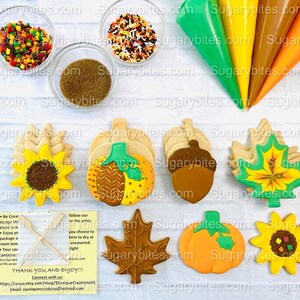 Fall Cookie Decorating Kit, INCLUDES 24 ITEMS Zoom Party Favors ...