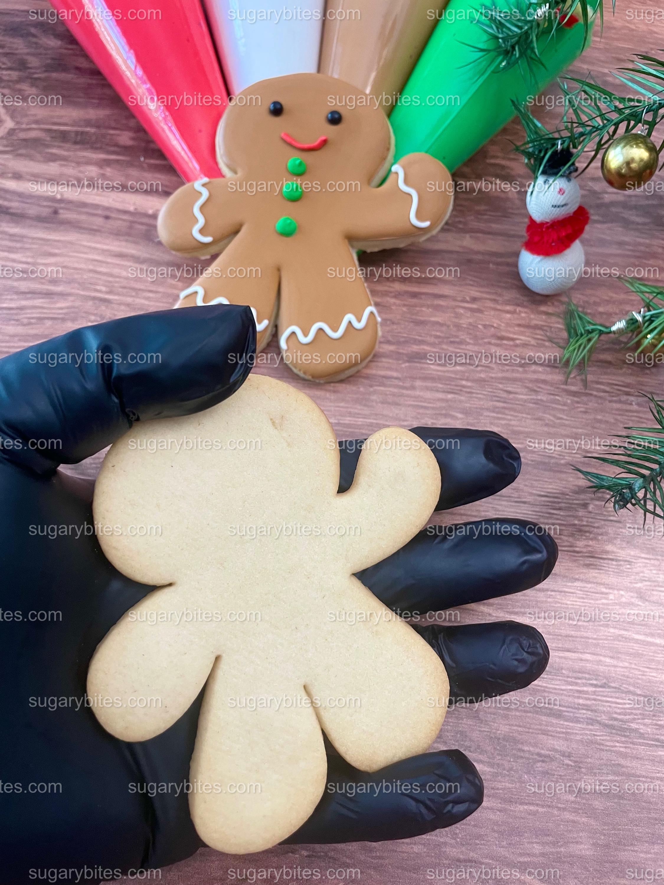 Christmas Cookie Decorating Kit, Christmas DIY Cookie Kit, (large ...