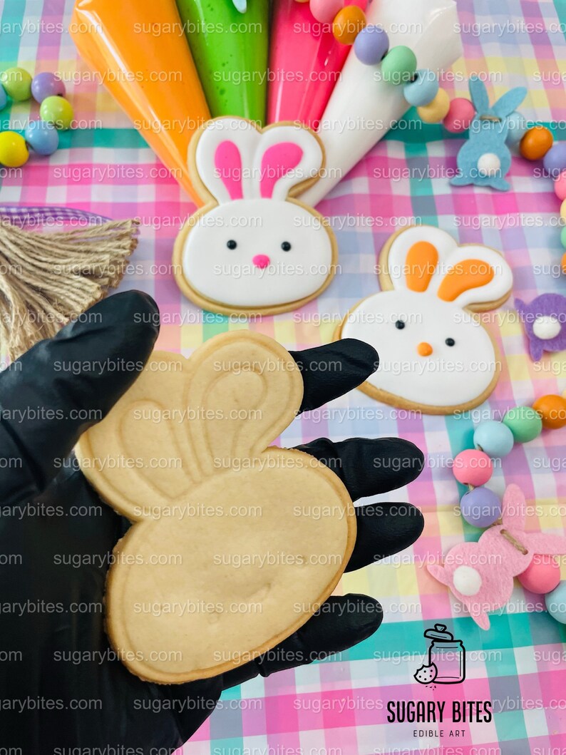 Easter Cookie Decorating Kit, DIY Spring Sugar Cookie Decorating Kit ...