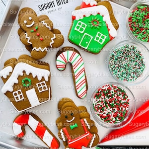 Gingerbread Cookie Decorating Kit, Christmas DIY Cookie Kit, (large ...