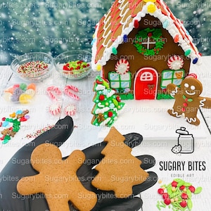 Gingerbread House Cookie Decorating Kit, DIY Cookie Kit, (large Cookies ...