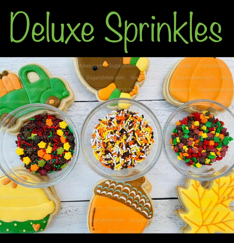 Fall Cookie Decorating Kit, ***INCLUDES 24 ITEMS*** (large Cookies ...