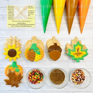 Fall Cookie Decorating Kit, INCLUDES 24 ITEMS Zoom Party Favors ...