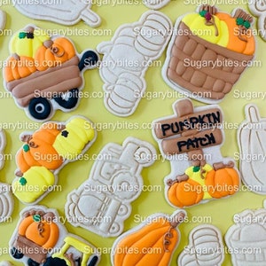Fall Cookie Decorating Kit, Fall DIY Decorating Cookies Kit, (large ...
