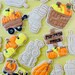 Fall Cookie Decorating Kit Fall DIY Decorating Cookies Kit - Etsy