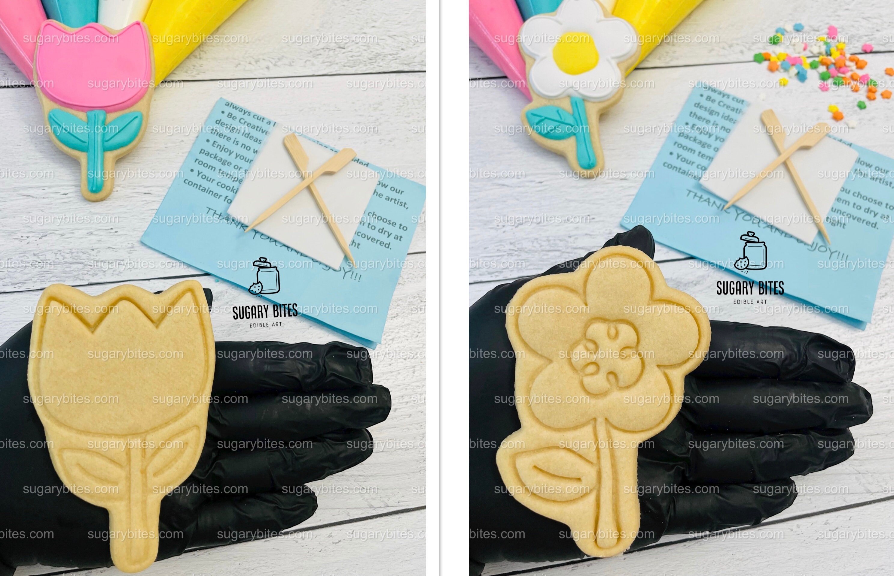 Summer Day Cookie Decorating Kit, DIY Spring Sugar Cookie Decorating ...