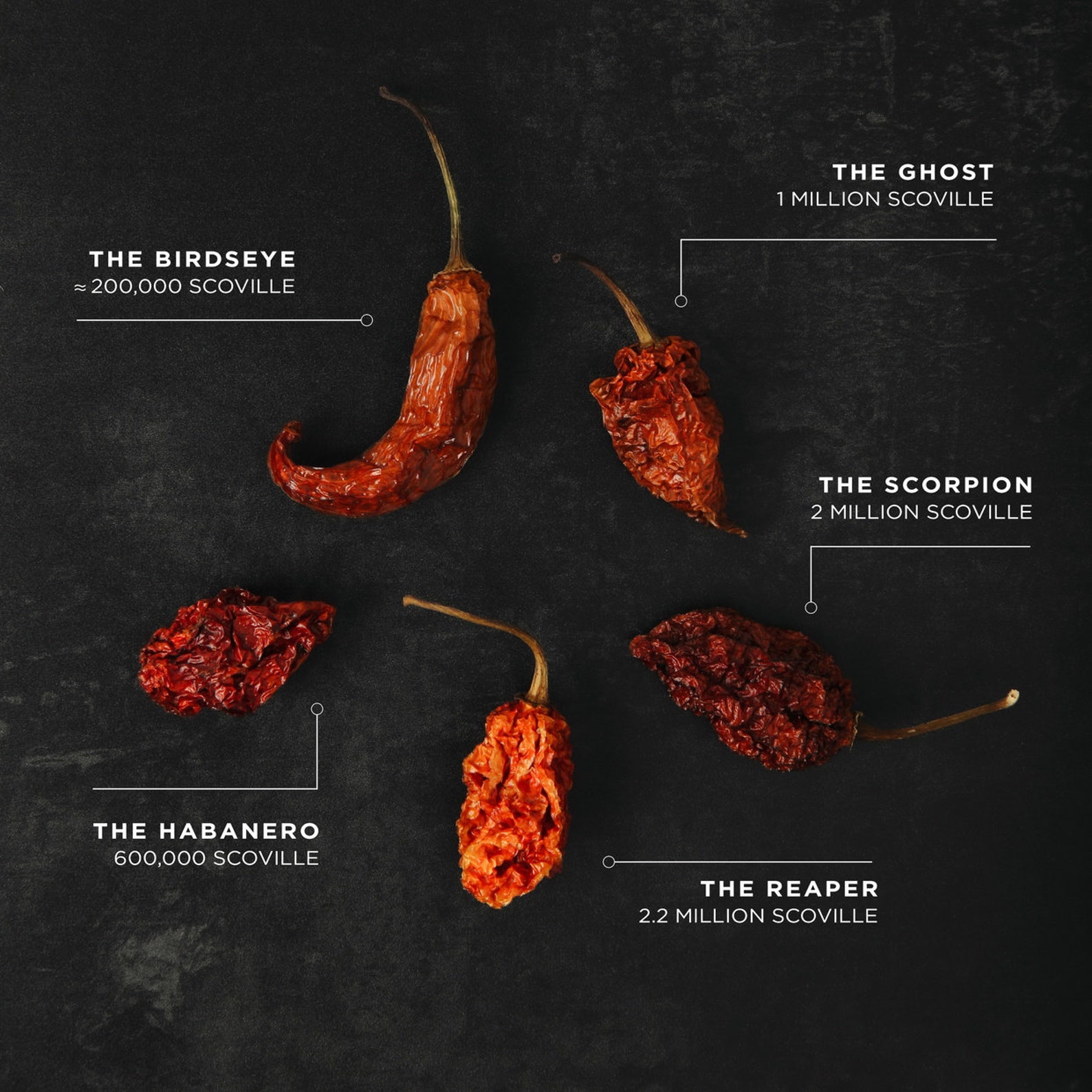 Hottest Chilli Flakes Gift Set | Great Taste Awards Winner | Dried ...