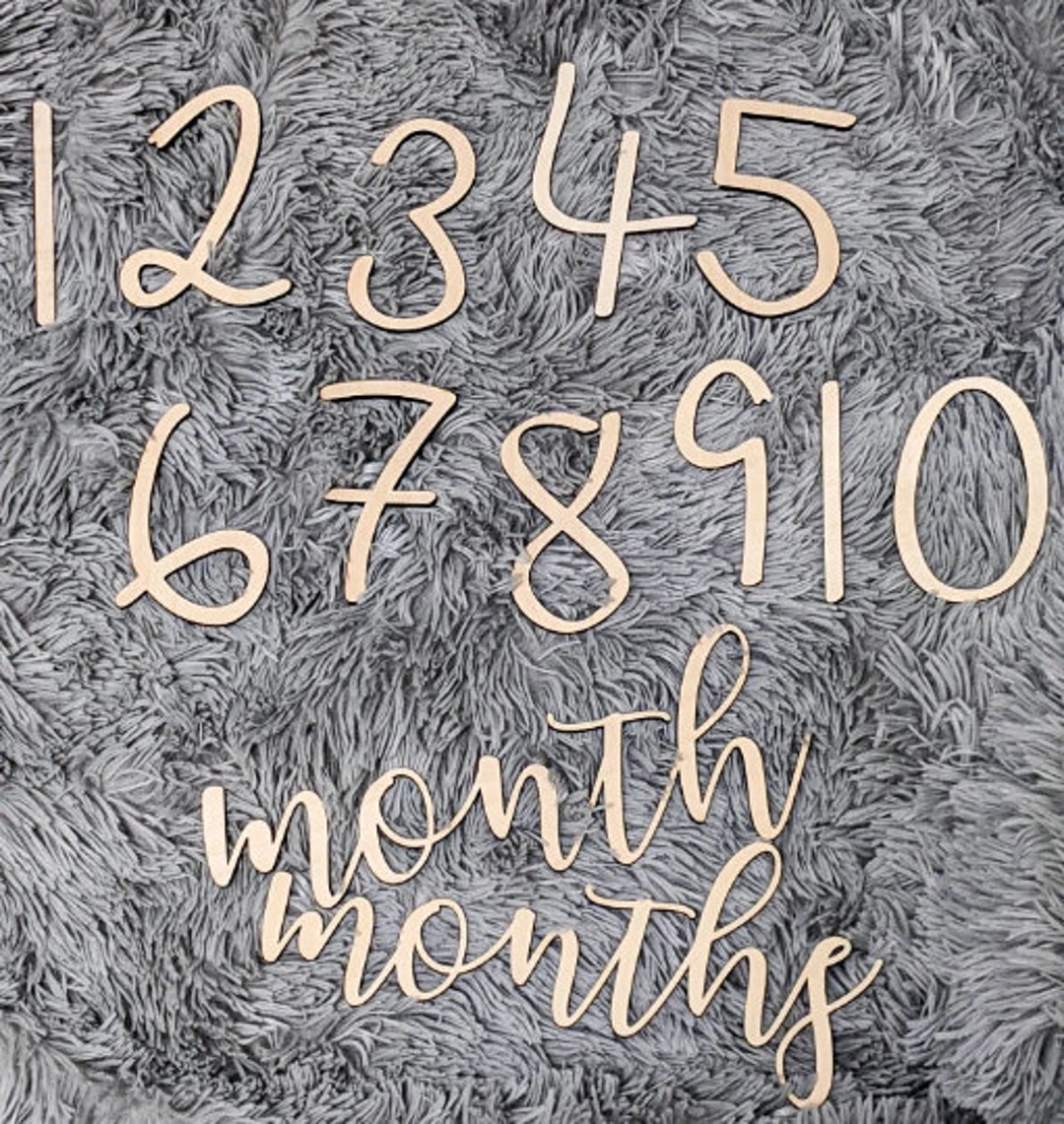 Monthly Milestone Numbers / Baby Monthly Pictures / Photo Props for ...