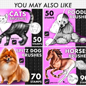 Procreate Feet Legs Stamp Brushes Procreate Girl Leg - Etsy